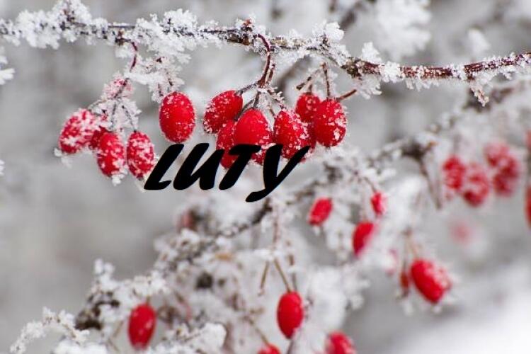 ZAMIERZENIA DYDAKTYCZNO-WYCHOWAWCZE NA MIESIĄC LUTY - Przedszkole nr 3 ...